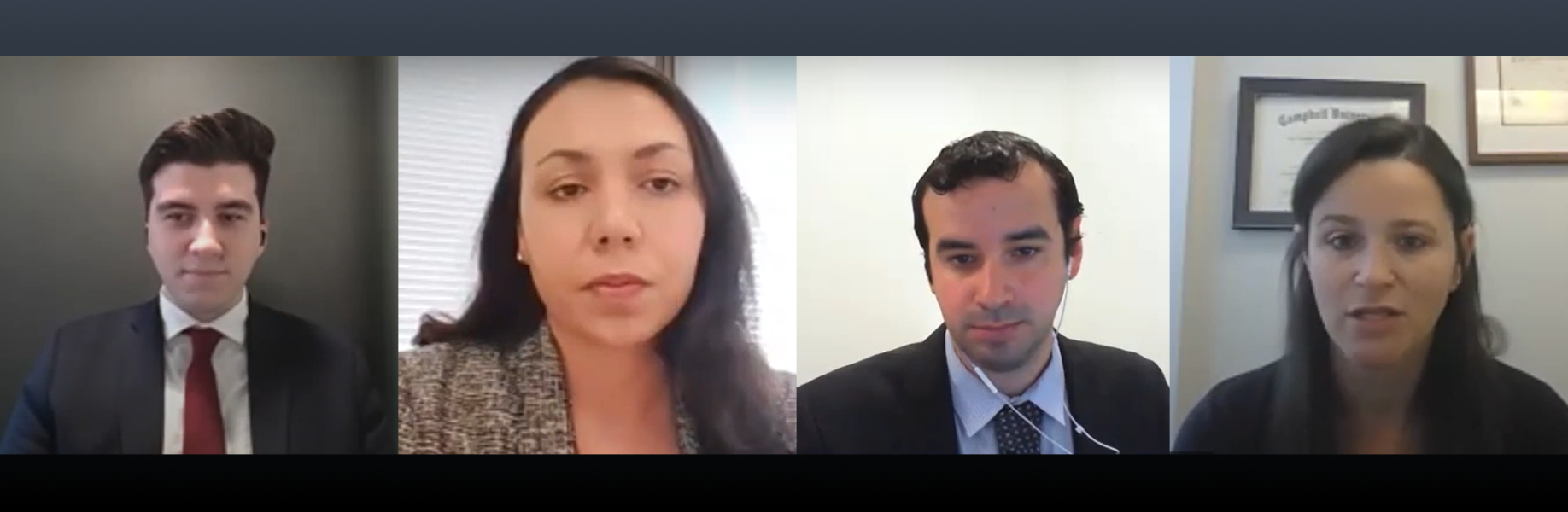 USCRI Webinar: Ukrainian Policy Update - USCRI