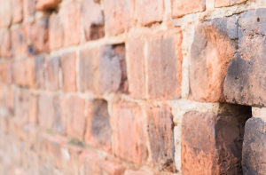 U.S. Committee for Refugees and Immigrants - USCRI